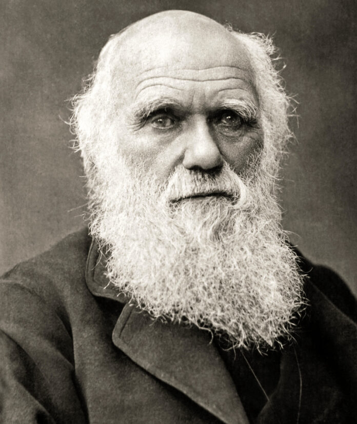 People from the Past Who Lived When Cameras Were First Invented | FOFY